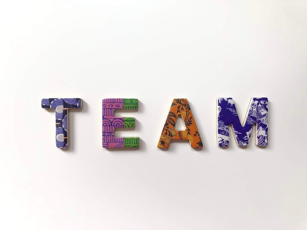 Job Description – Cleaning Tech - Maid to Serve - LOZ
